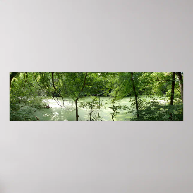 Natural Swamp Poster | Zazzle