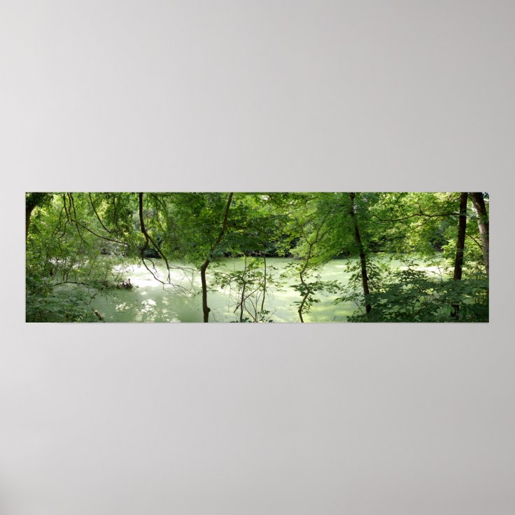 Natural Swamp Poster | Zazzle
