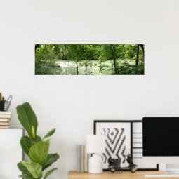 Natural Swamp Poster | Zazzle