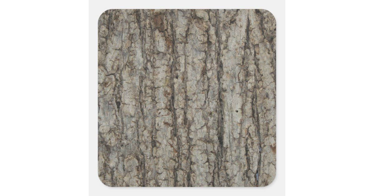Natural Tree Bark Camo Camouflage Rustic Square Sticker | Zazzle