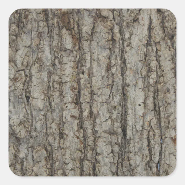 Natural Tree Bark Camo Camouflage Rustic Square Sticker | Zazzle