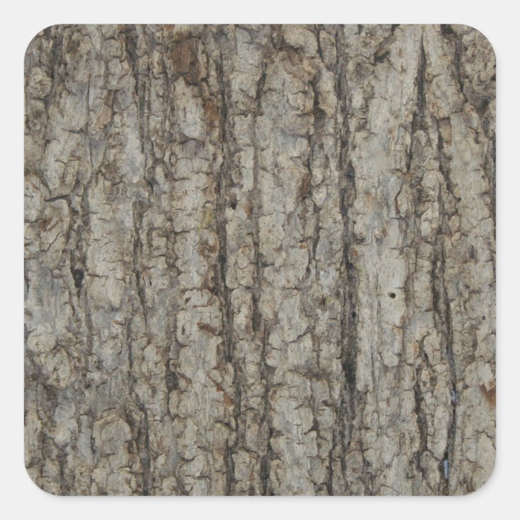 Natural Tree Bark Camo Camouflage Rustic Square Sticker | Zazzle
