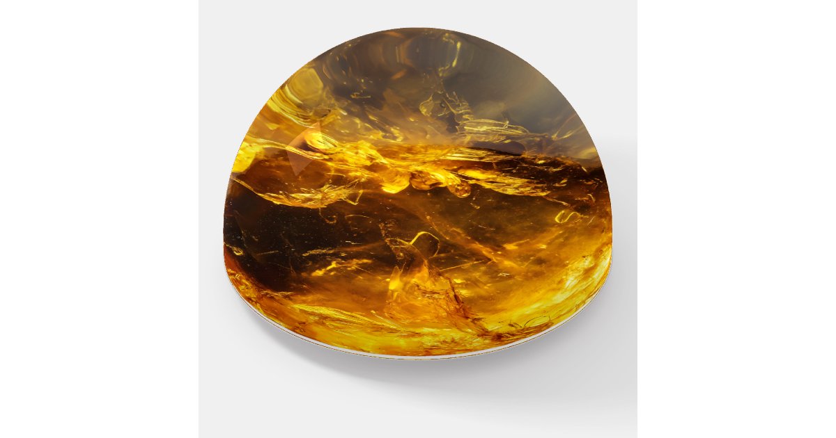 Nature Amber Pattern Paperweight | Zazzle
