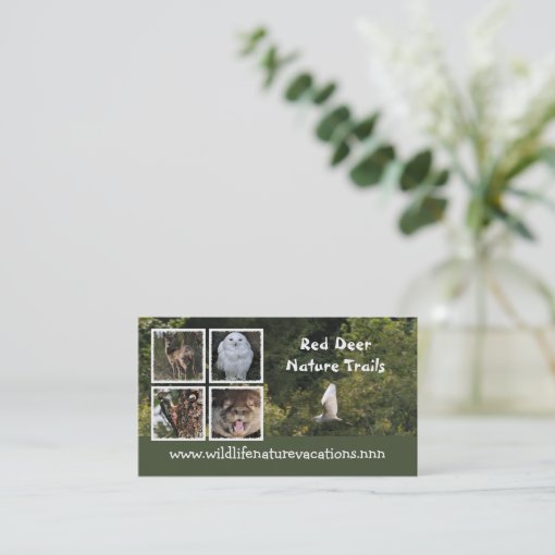 Nature and wildlife business card | Zazzle