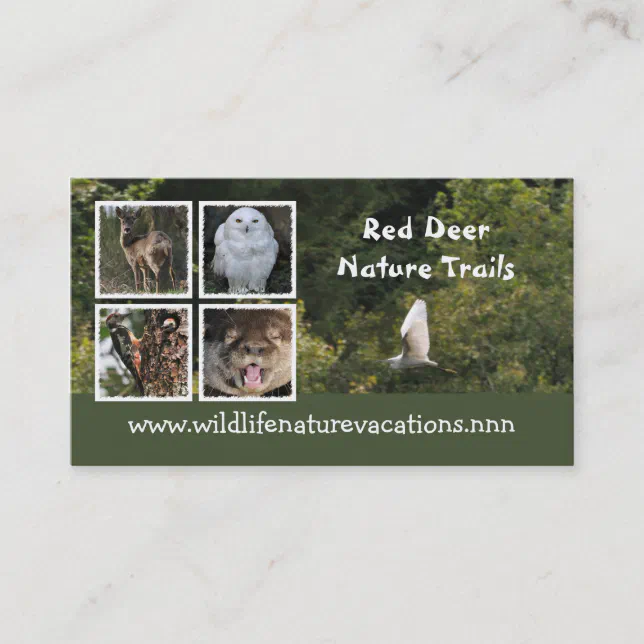 Nature and wildlife business card | Zazzle