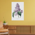 Nature,botanical print,flower art of Lilac Poster | Zazzle