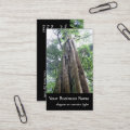 Nature/Evergreen Old Tall Tree Naturalist Business Card | Zazzle