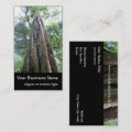 Nature/Evergreen Old Tall Tree Naturalist Business Card | Zazzle