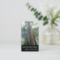 Nature/Evergreen Old Tall Tree Naturalist Business Card | Zazzle