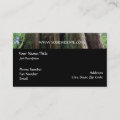 Nature/Evergreen Old Tall Tree Naturalist Business Card | Zazzle