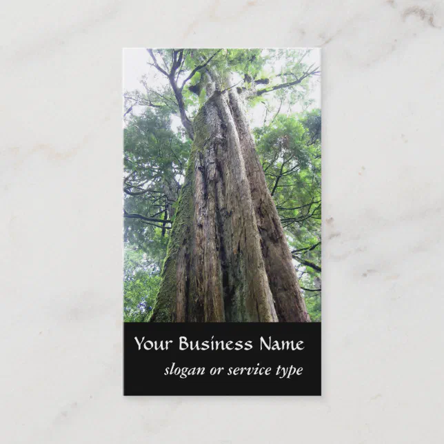 Nature/Evergreen Old Tall Tree Naturalist Business Card | Zazzle