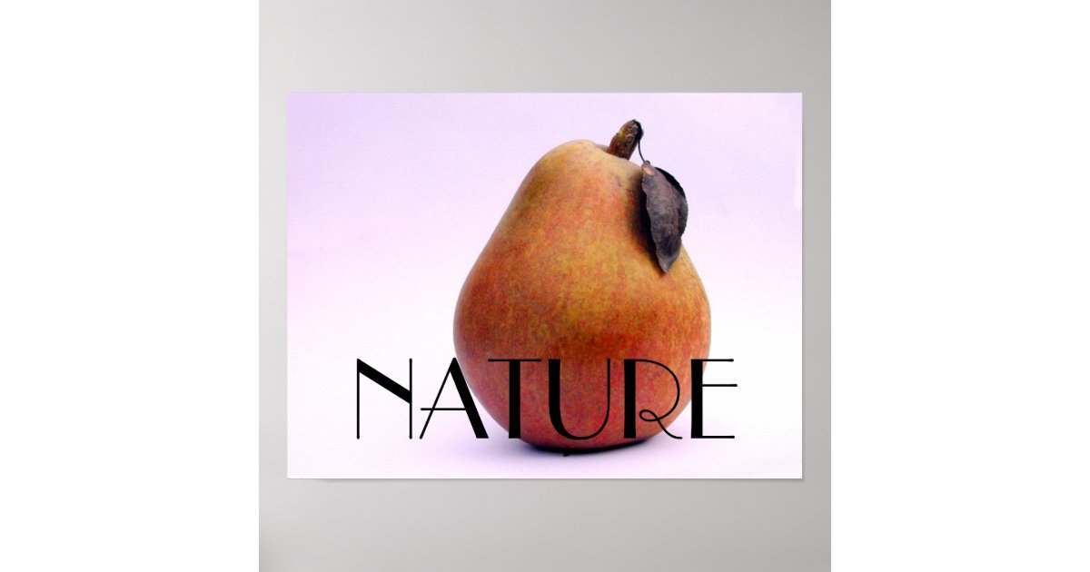NATURE Pear Poster | Zazzle