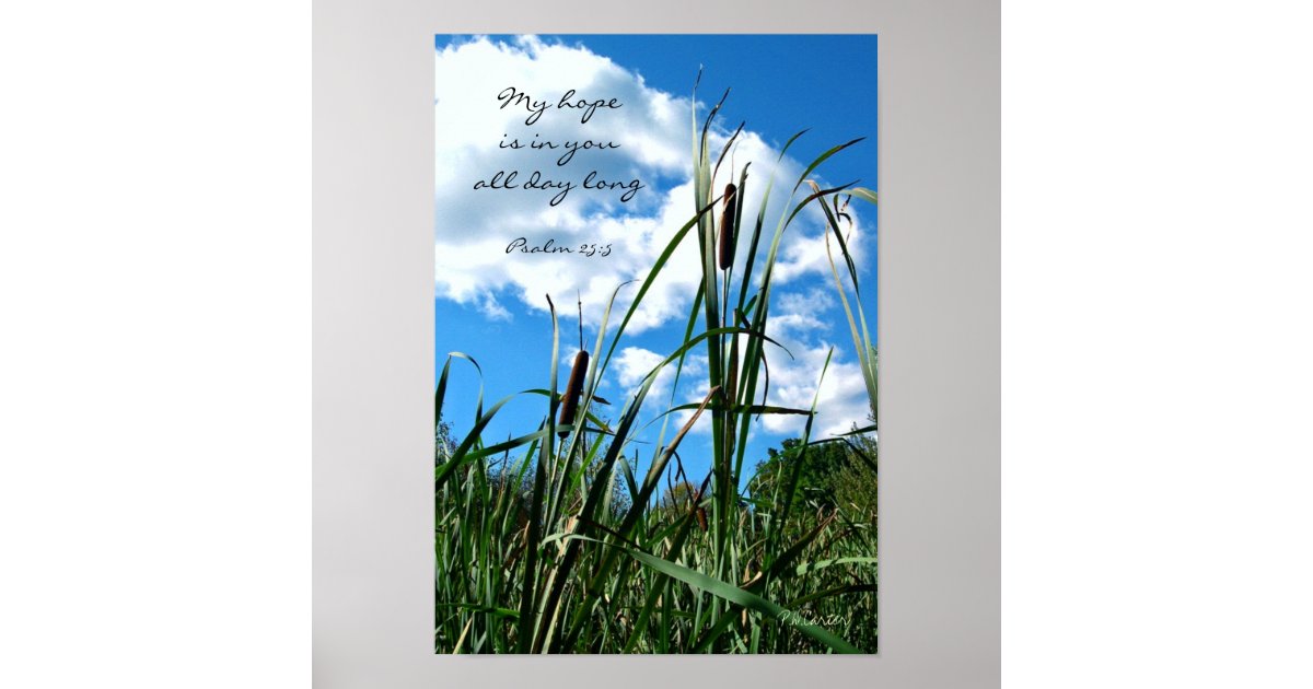 Nature Photography Poster Christian Scripture | Zazzle