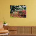 Nature Poster | Zazzle