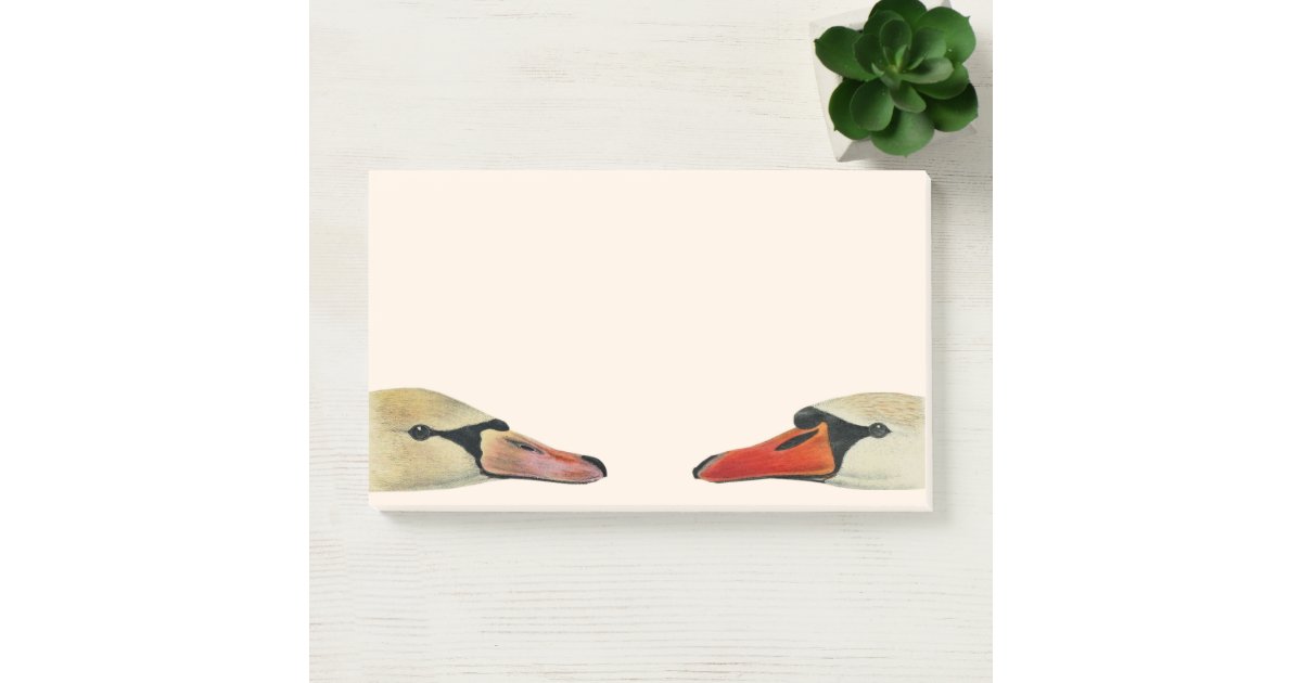 Nature The Many Faces of a Swan Post-it Notes | Zazzle