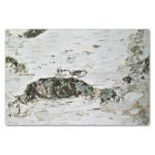 Country Rustic Birch Tree Bark Tissue Paper | Zazzle.com
