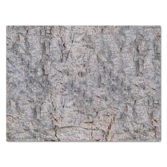 Nature Tree Bark Photo Tissue Paper | Zazzle