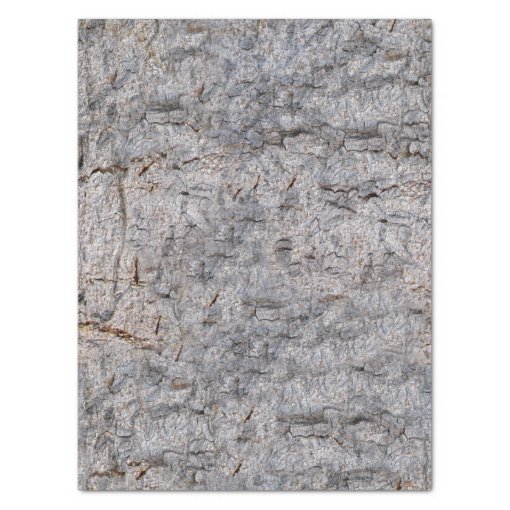 Nature Tree Bark Photo Tissue Paper | Zazzle