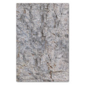 Nature Tree Bark Photo Tissue Paper | Zazzle