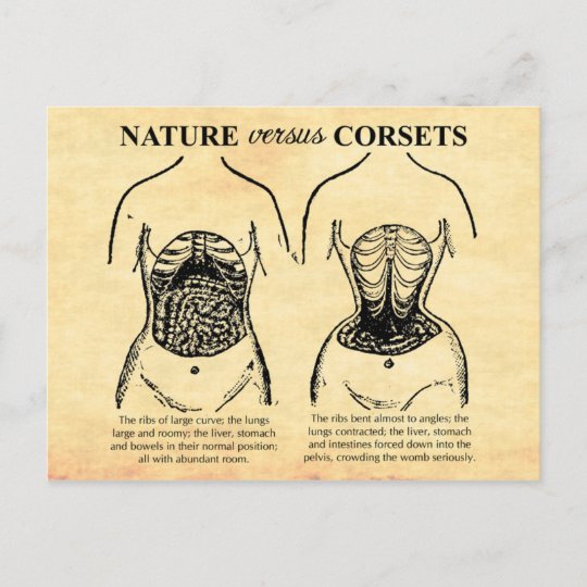 Nature versus Corsets Postcard | Zazzle.com