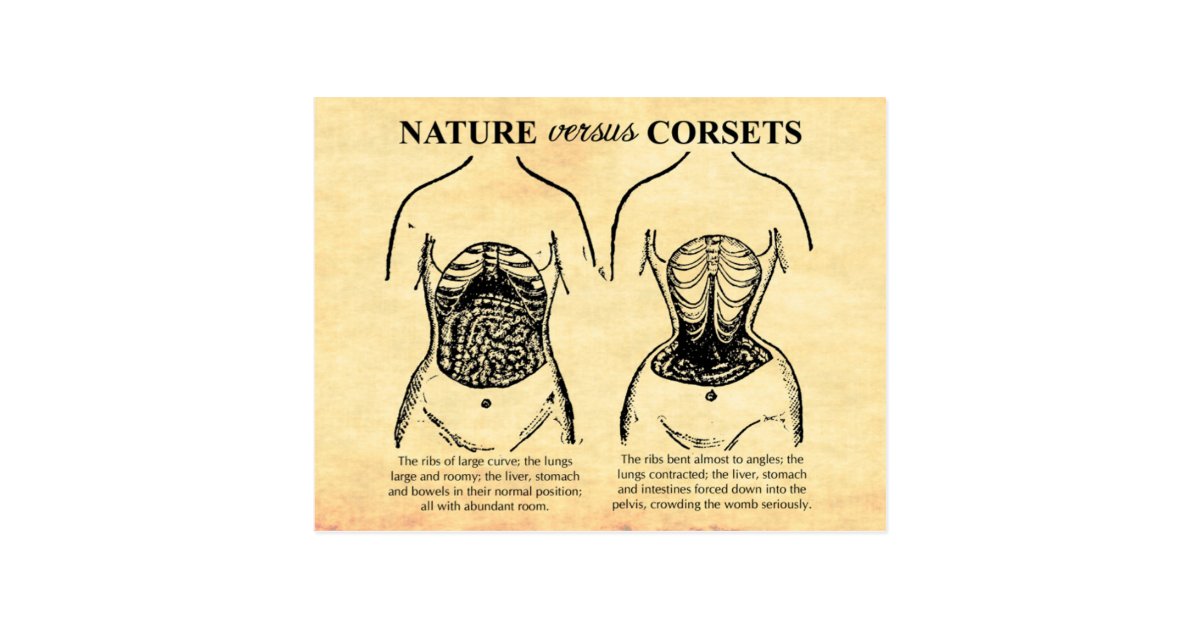 Nature versus Corsets Postcard | Zazzle.com
