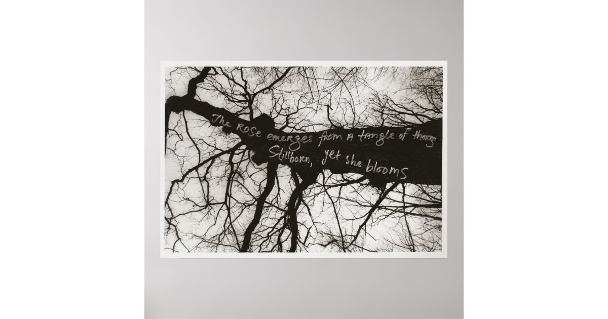 Nature Whispers Poster | Zazzle