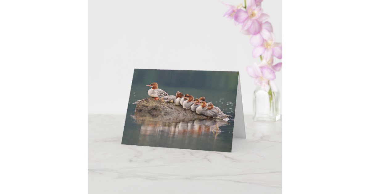 Nature Wildlife Cancer Support Card | Zazzle