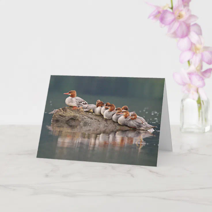 Nature Wildlife Cancer Support Card | Zazzle