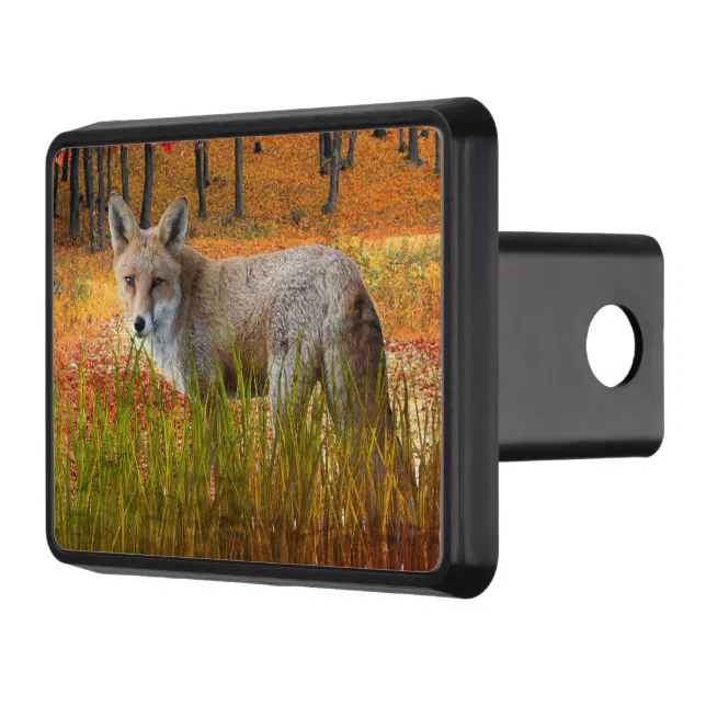 Nature Wildlife Red Fox Fall Season Hitch Cover | Zazzle