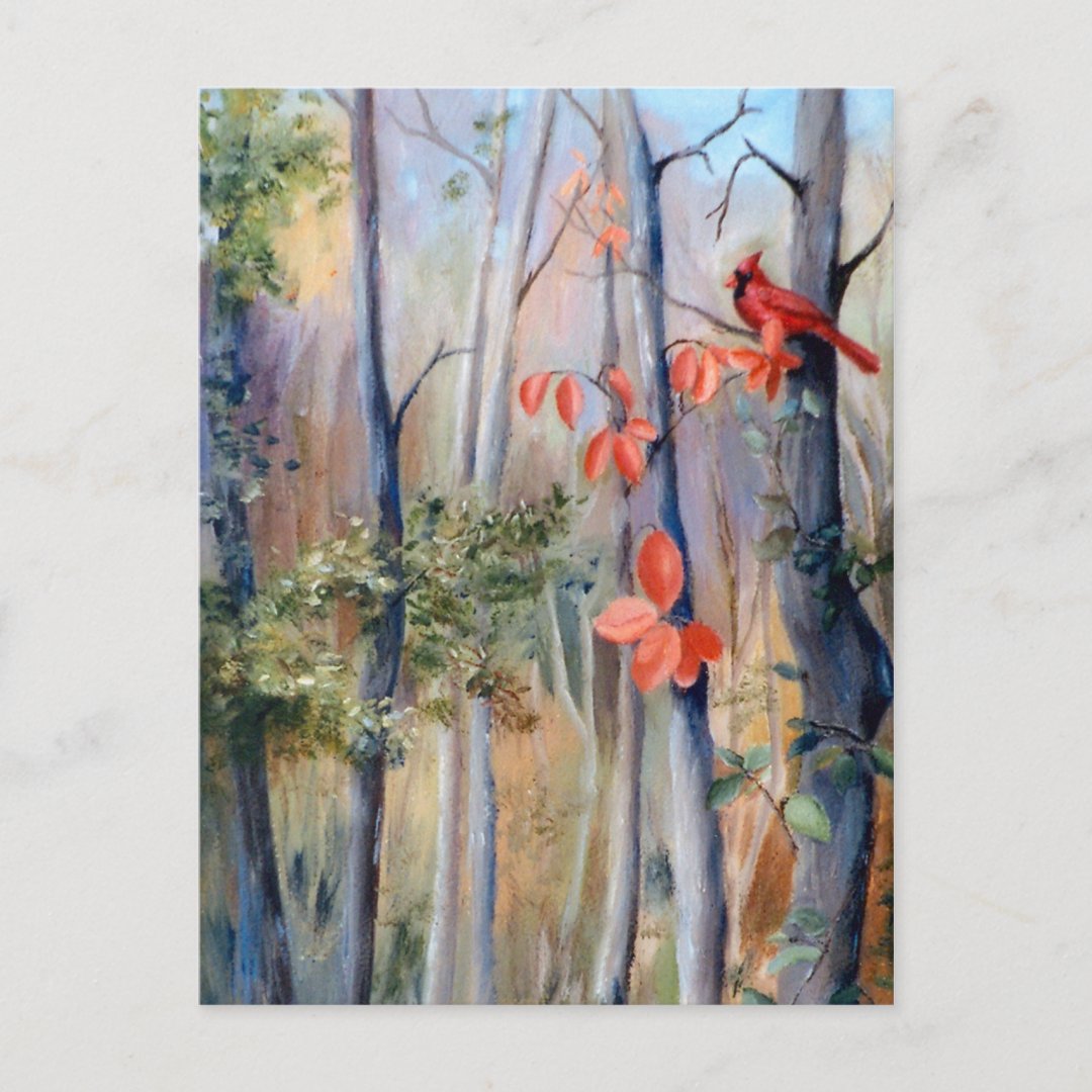 Natures Path Cardinal Postcard | Zazzle