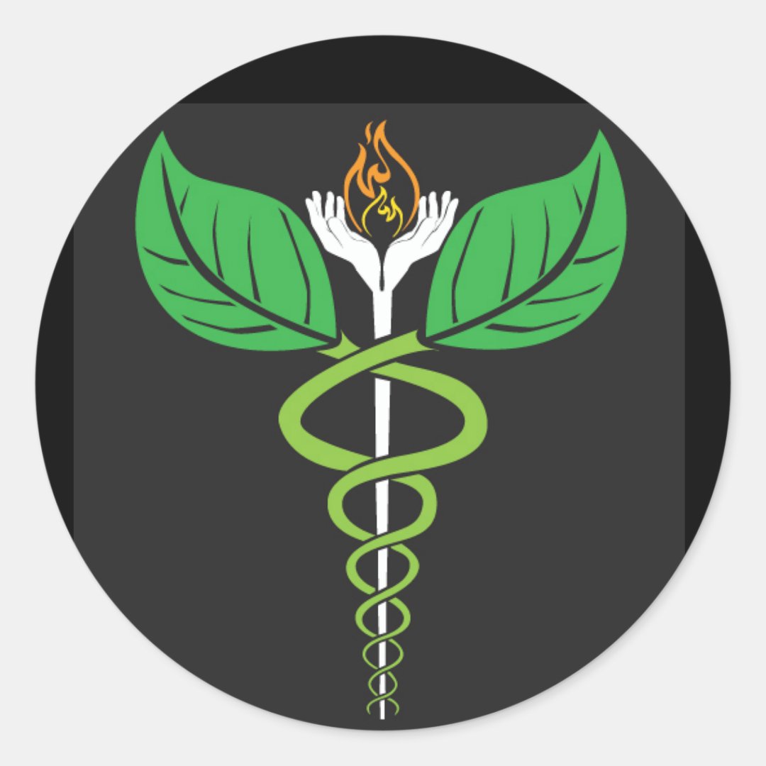 Naturopathic Doctor Caduceus Classic Round Sticker | Zazzle