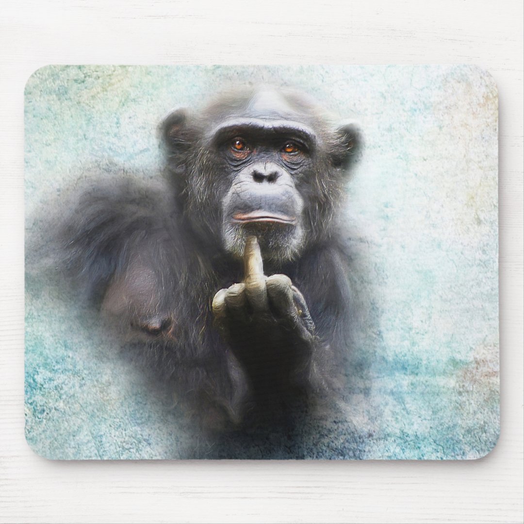 Naughty Funny Chimpanzee Middle Finger Flip Bird Mouse Pad | Zazzle