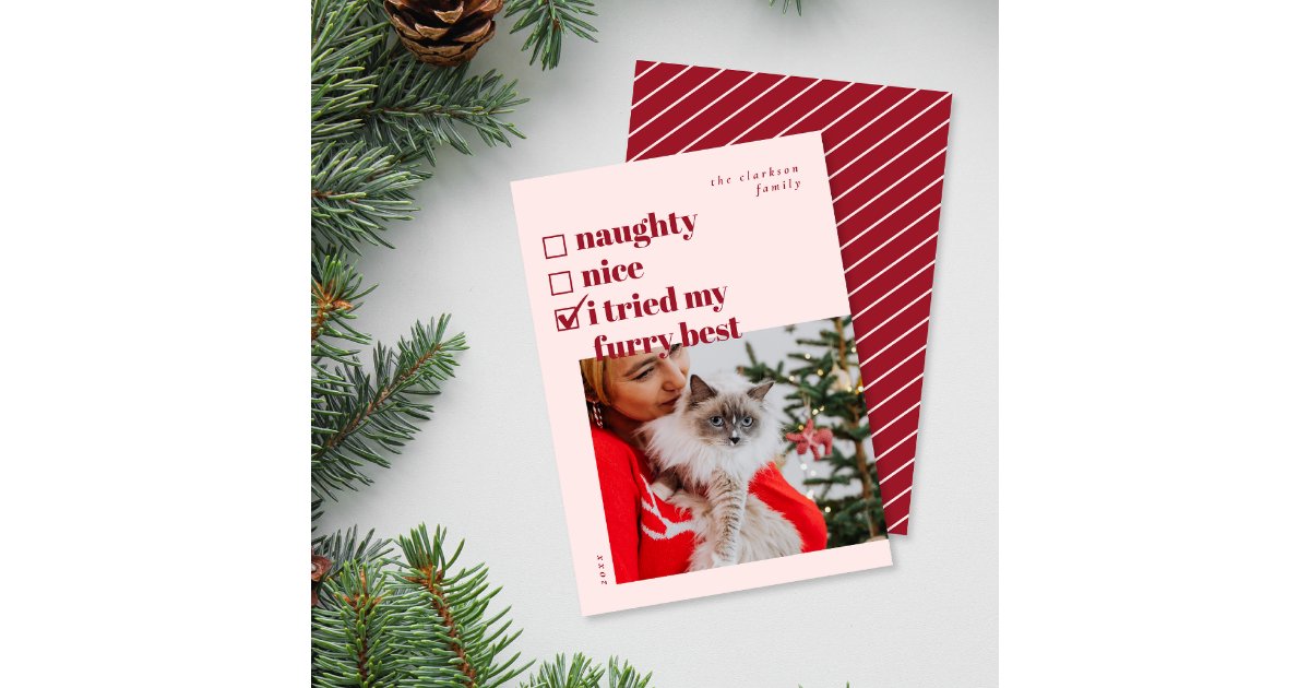Naughty, Nice, Tried my Furry Best Holiday Card | Zazzle Naughty, Nice, Tried my Furry Best Holiday Card | Zazzle