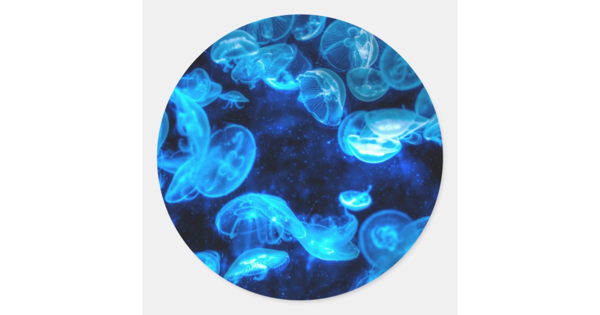 Nautical Blue Jellyfish Marine Life Classic Round Sticker | Zazzle