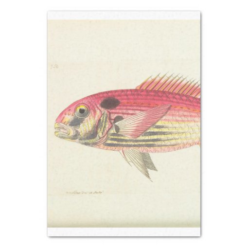 Nautical Pink Fish Ephemera Decoupage Vintage Tissue Paper | Zazzle