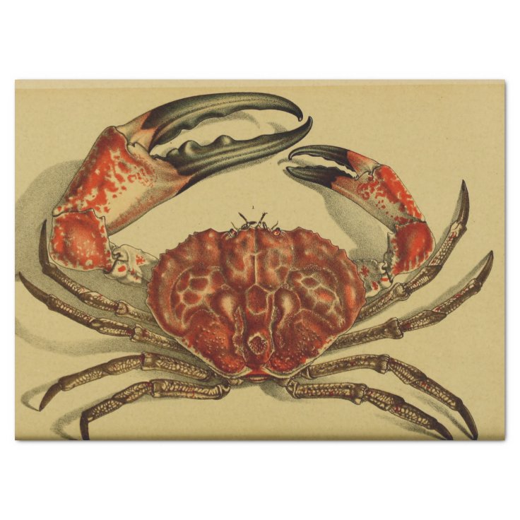 Nautical Red Crab Ephemera Decoupage Tissue Paper | Zazzle