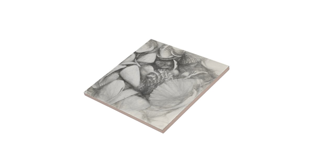 Nautical Sea Shells Ocean Beach Vintage Antique Ceramic Tile | Zazzle