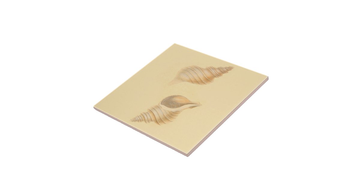 Nautical Theme Ceramic Tiles Sea Shells | Zazzle