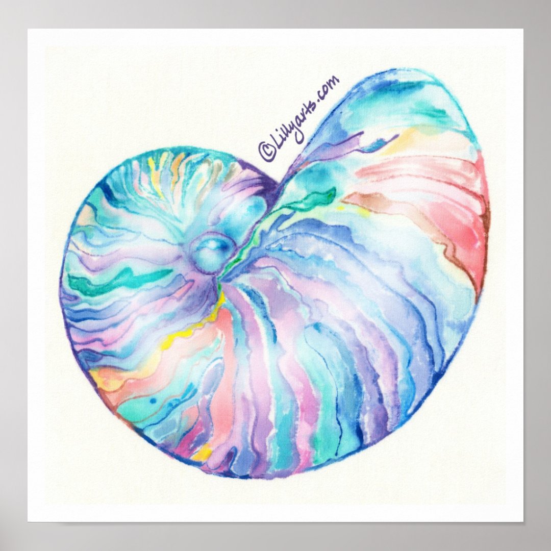 Nautilus Infinity Fine Art Print and Poster | Zazzle