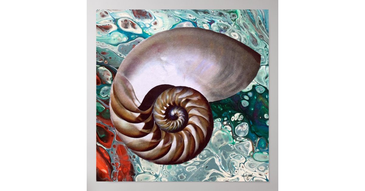 Nautilus, Nautilus Print, Art, Nautilus Poster | Zazzle