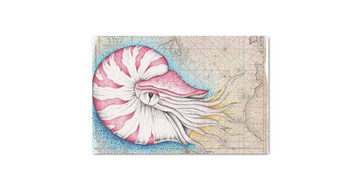 Nautilus Octopus Vintage Map Nautilus Tissue Paper | Zazzle