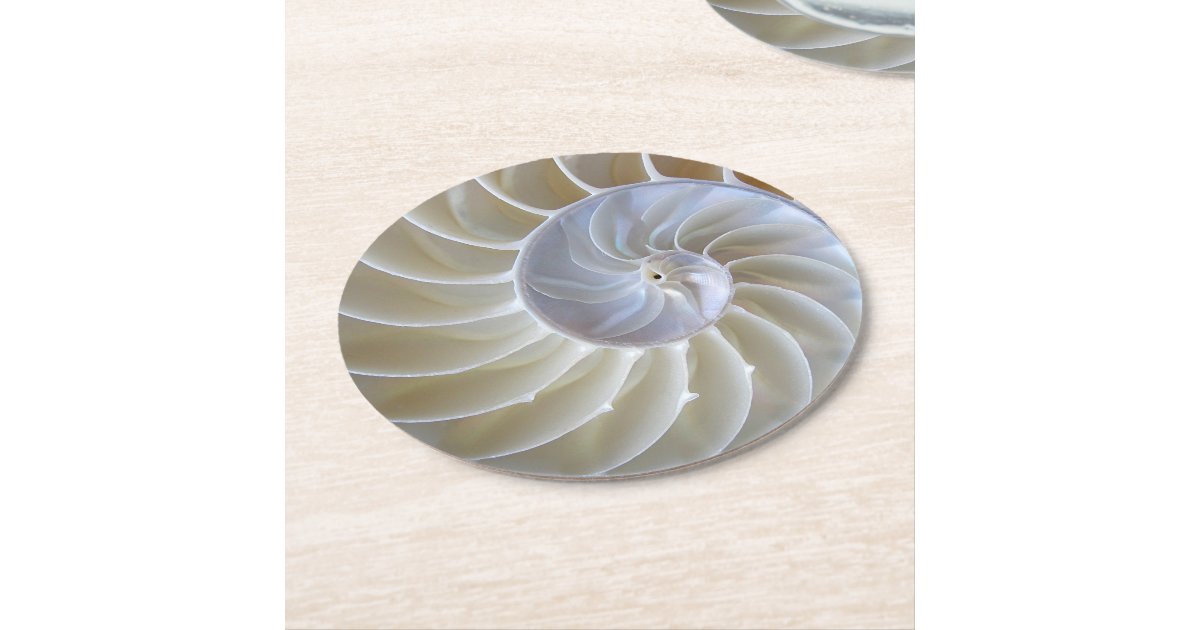 Nautilus Sea Shell Photograph Round Paper Coaster | Zazzle