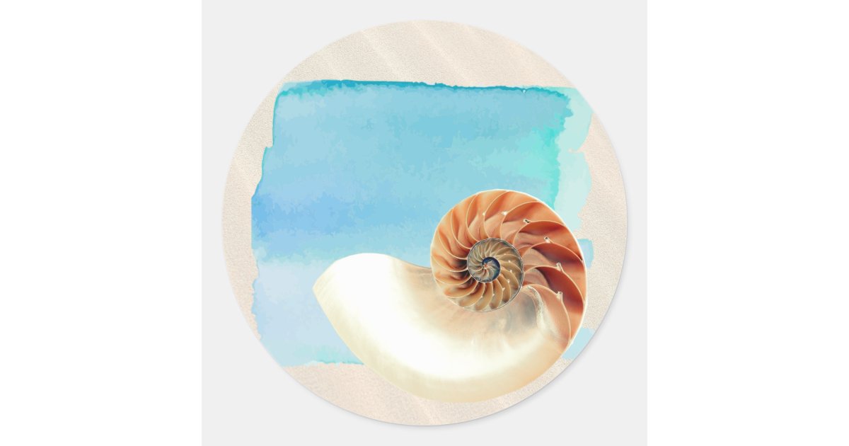 Nautilus Seashell and Sand Classic Round Sticker | Zazzle