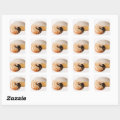 Nautilus seashell (Nautilus stenomphalus) Square Sticker | Zazzle