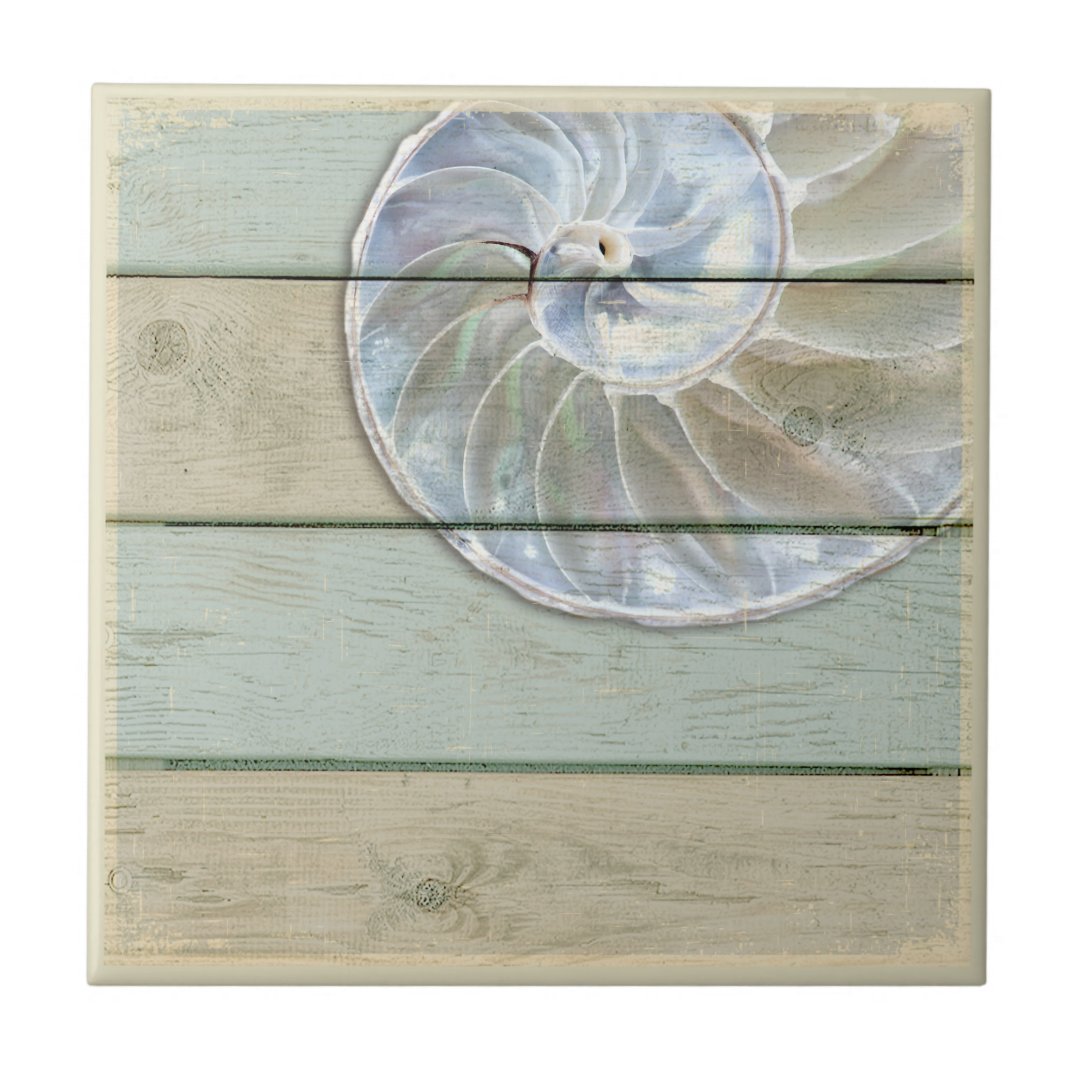 Nautilus Shell Ceramic Tile | Zazzle