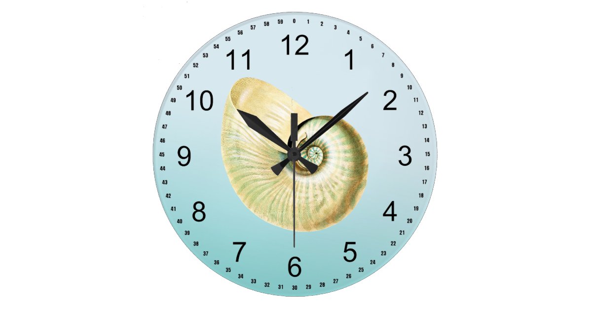 Nautilus shell large clock | Zazzle.com