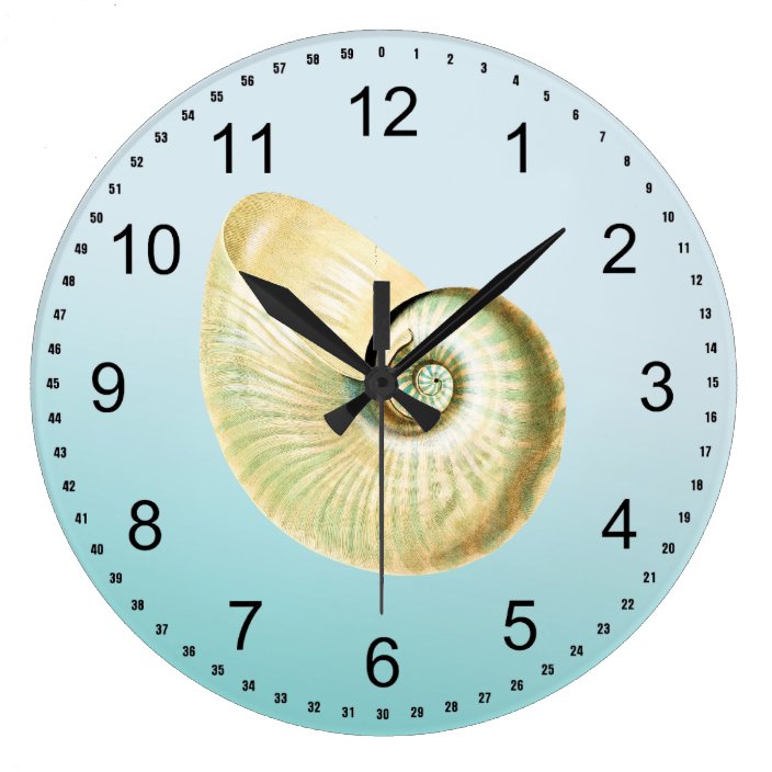 Nautilus shell large clock | Zazzle.com