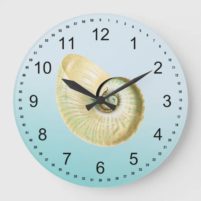 Nautilus shell large clock | Zazzle