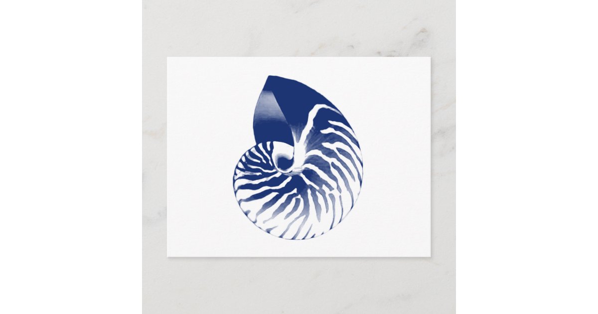 Nautilus shell - navy blue and white postcard | Zazzle