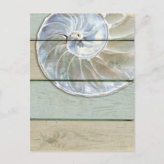 Nautilus Shell Postcard | Zazzle